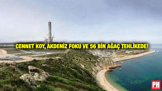 Cennet Koy, Akdeniz Foku ve 56 Bin Ağaç Tehlikede! | Parlamento Haber ...